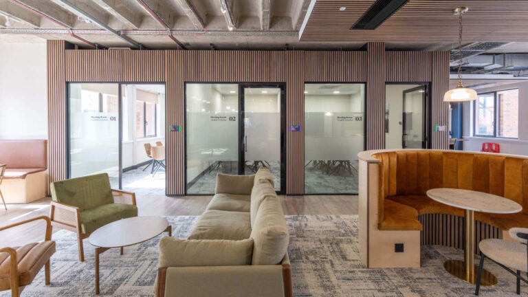 Who are professional enablers and what roles do they play in economic ...