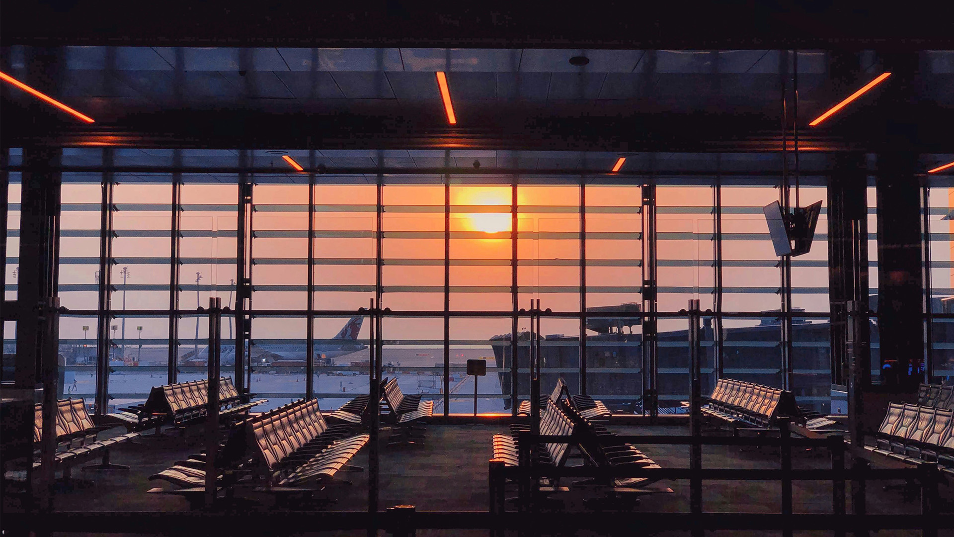 Who is exempt from the Immigration Skills Charge? - Capital Law